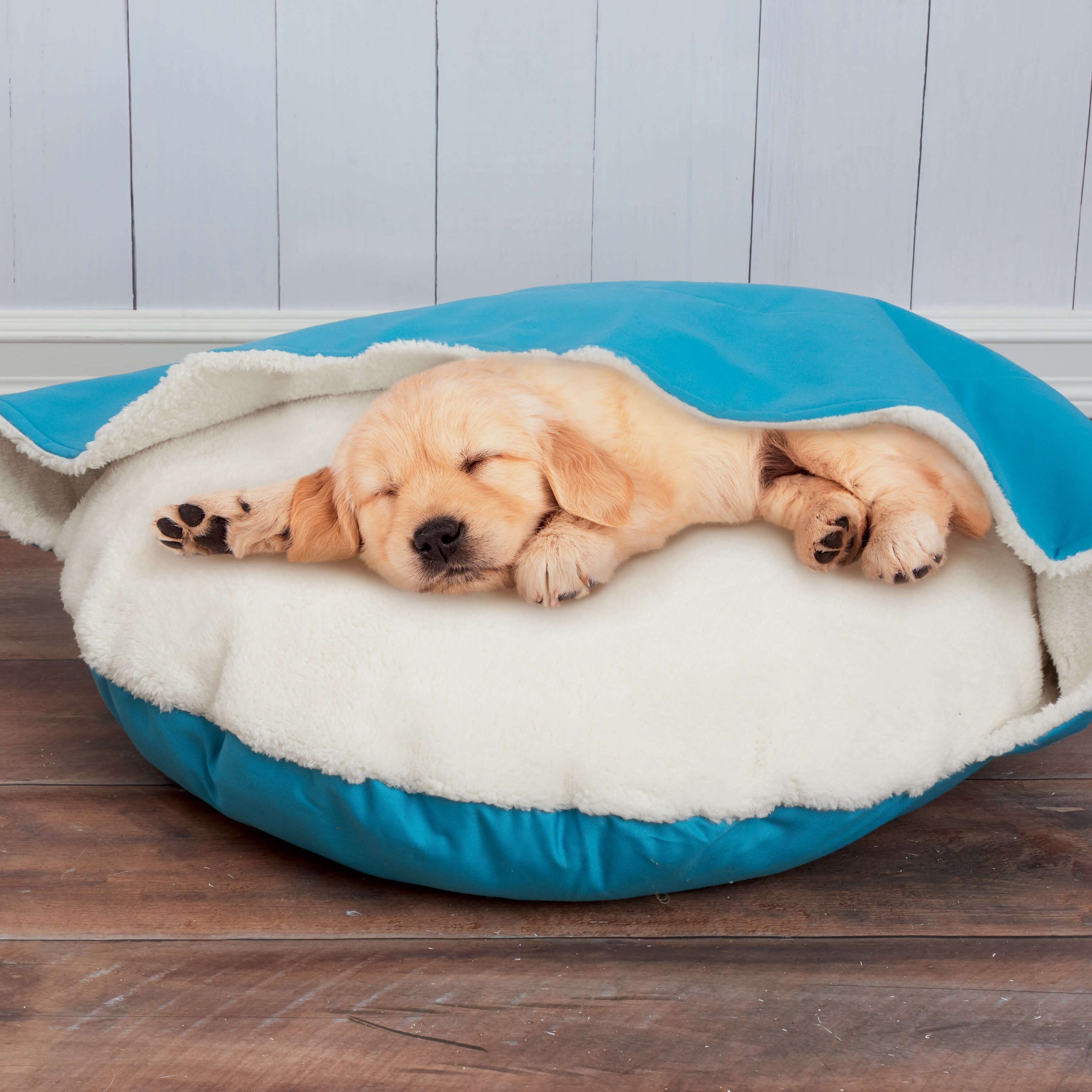 Simplicity Sewing Pattern S9445 Pet Bed in Two Sizes, Chair Cover and ...