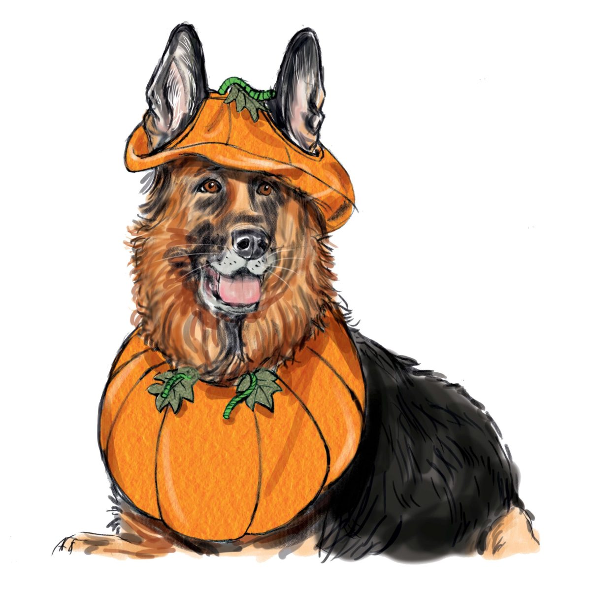 Simplicity Sewing Pattern S9497 Pet Accessories - Sewdirect