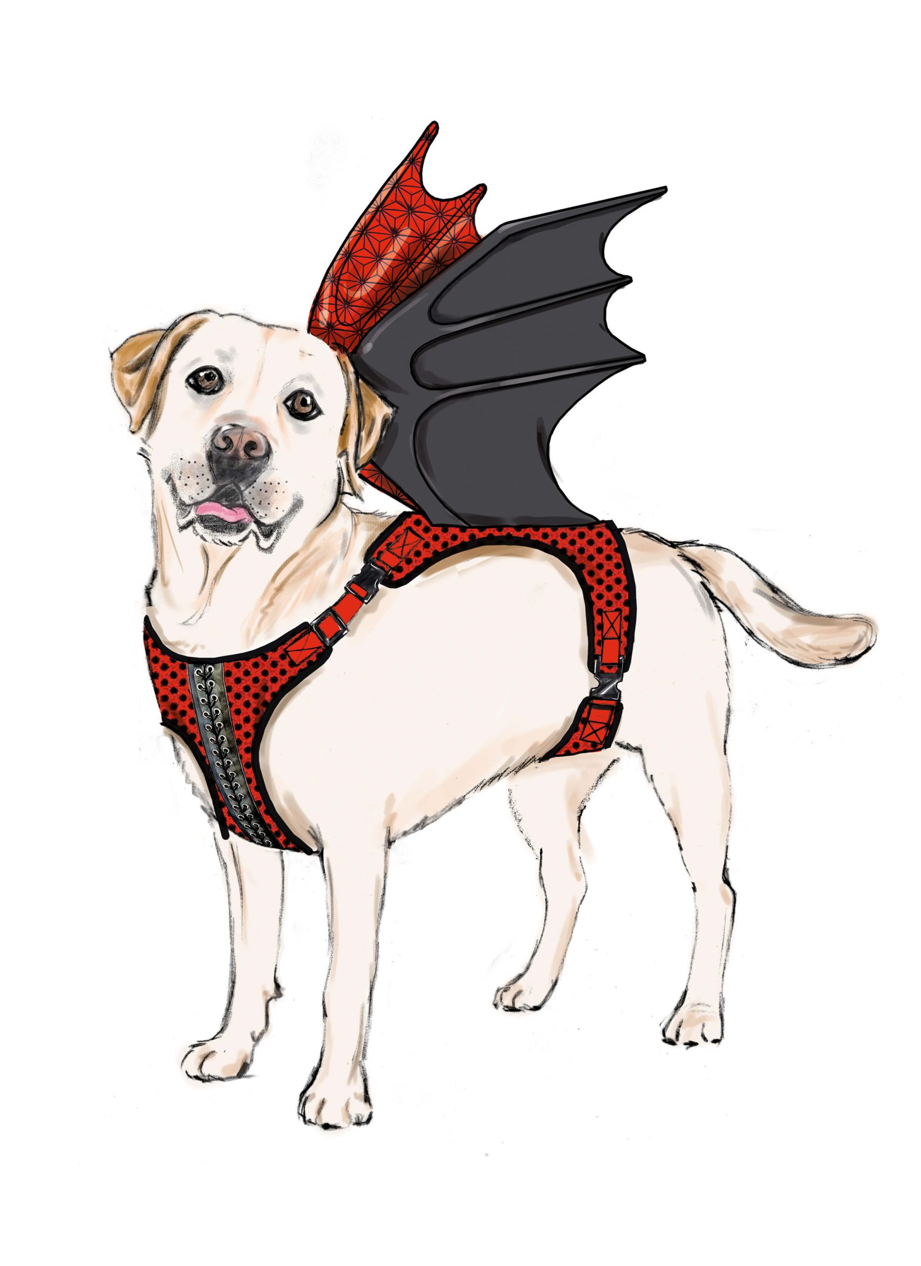 Simplicity Sewing Pattern S9875 Dog Harness with Wings by Carla Reiss ...